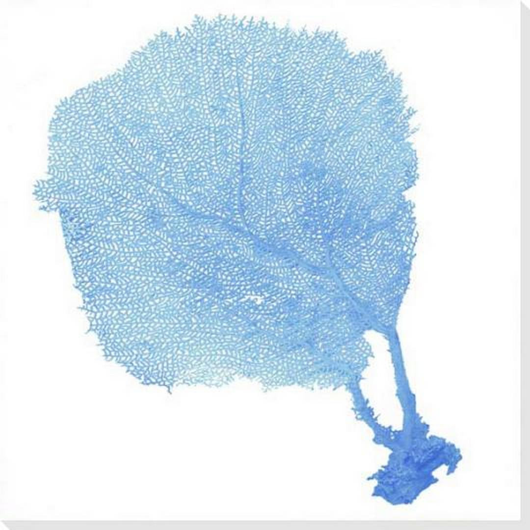 Bright Sea Fan 5 Wrapped Canvas Giclee Art Print Wall Art | Ocean ...