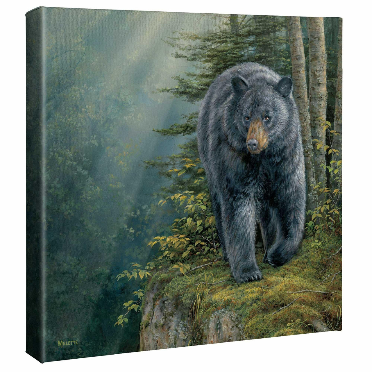 14" x 14" Rocky Outcrop Black Bear Wrapped Canvas Wall Art - Wall Decor