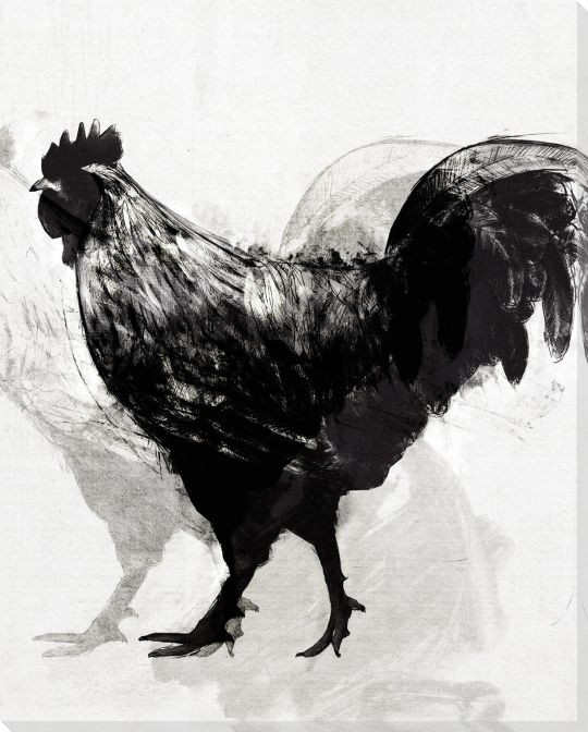 Modern Rooster Birds 2 Wrapped Canvas Giclee Print Wall Art | Farm Wall ...