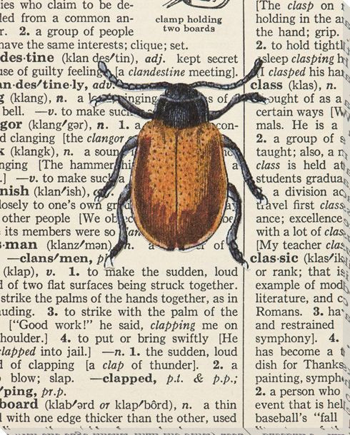 Design Bug Wrapped Canvas Giclee Print Wall Art | Colorful Bug Wall Art ...