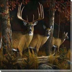 Shop Wildlife Art Prints for Sale - Wall Decor - Artwork