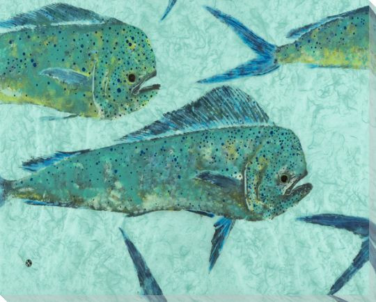 Mint Run Mahi Mahi Fish Wrapped Canvas Giclee Print Wall Art - Wall ...