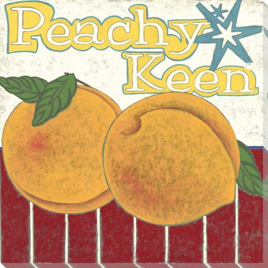 Peachy Keen Wrapped Canvas Giclee Print Wall Art - Wall Decor - Artwork