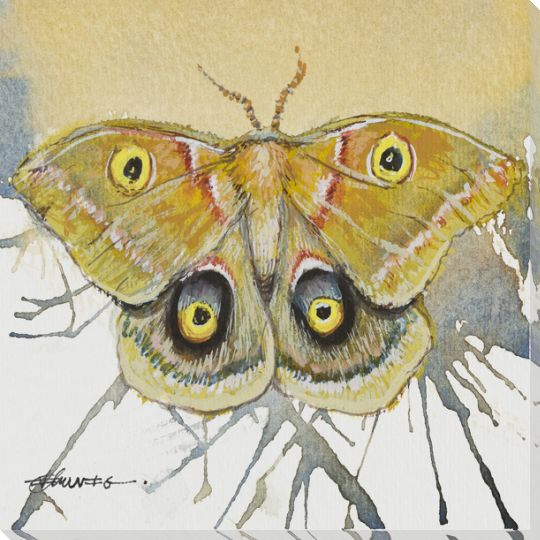 Giclée Happy Moth Giclee print of an original art illustration Art ...