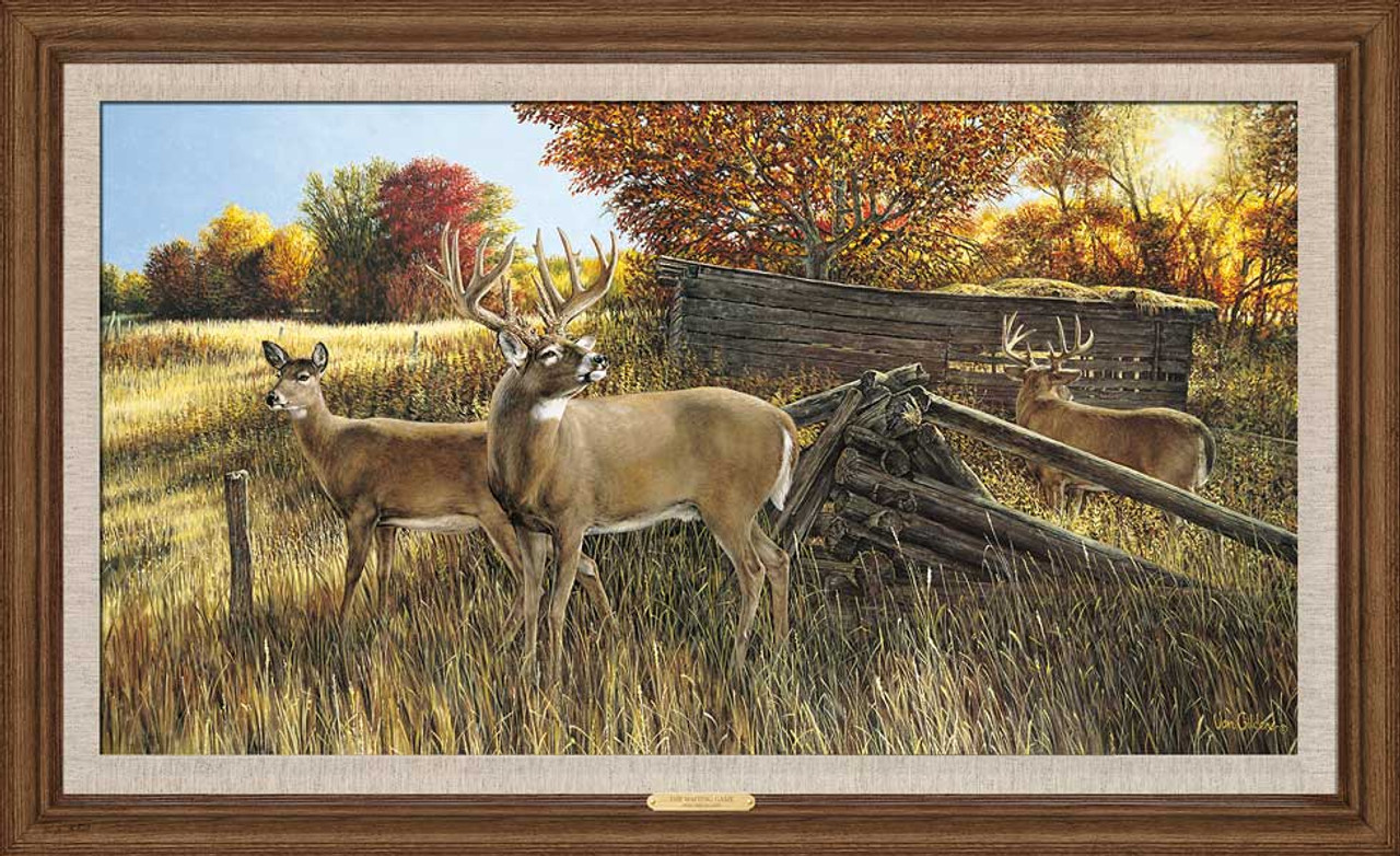 The Waiting Game Whitetail Deer Framed Canvas Giclee Art Print Wall Art