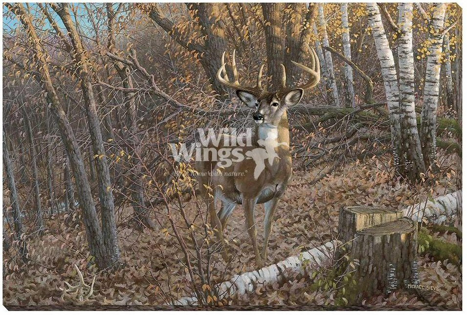 Great Eight Whitetail Deer Wrapped Canvas Giclee Print Wall Art - Wall ...
