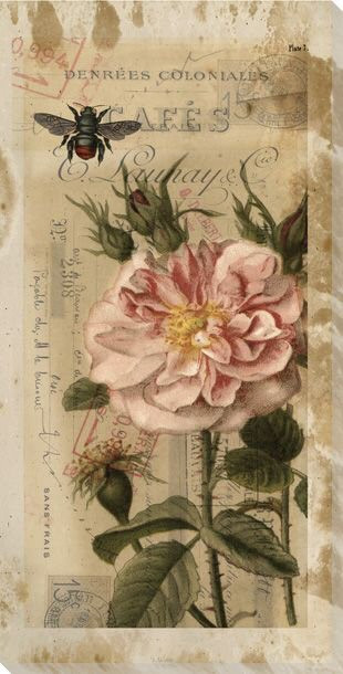 Bloom Flower & Bee II Wrapped Canvas Giclee Print Wall Art - Wall Decor ...