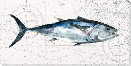 Deep Sea Watercolor Blue Fin Tuna Wrapped Canvas Giclee Print - Wall ...