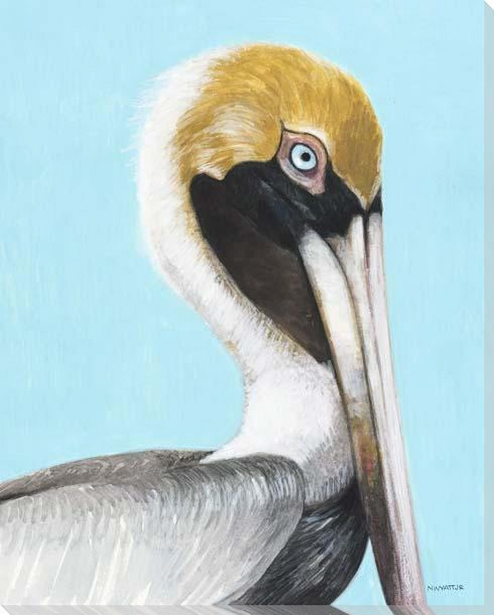 Pelican Bird Pose Wrapped Canvas Giclee Art Print Wall Art | Bird Wall ...