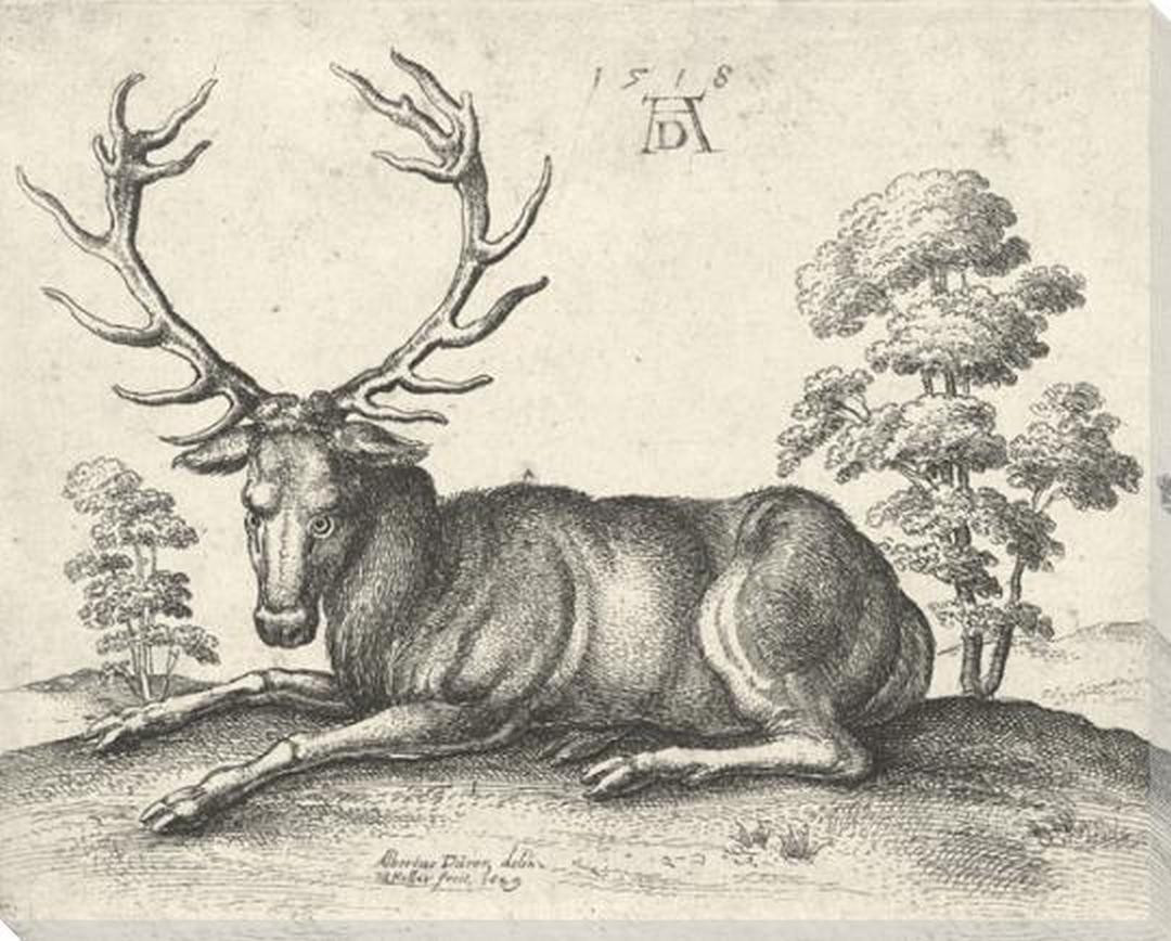 A Stag Lying Wrapped Canvas Giclee Art Print Wall Art | Majestic Animal ...