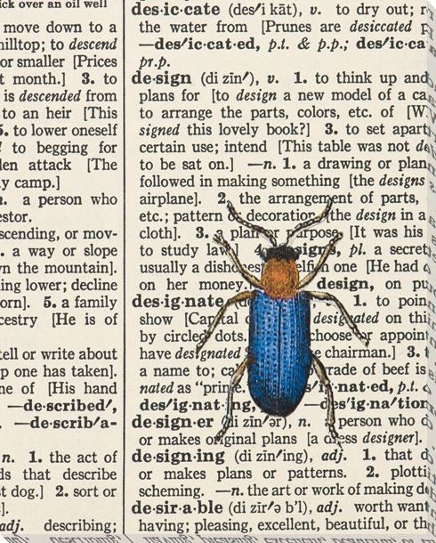 Design Bug Wrapped Canvas Giclee Print Wall Art - Wall Decor - Artwork