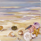 Shells Along the Beach Wrapped Canvas Giclee Print Wall Art | Seashore ...