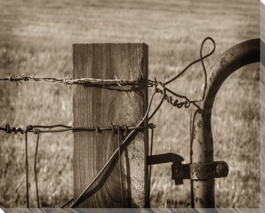 Barbed Wire Wrapped Canvas Giclee Art Print Wall Art | Rodeo Wall Art