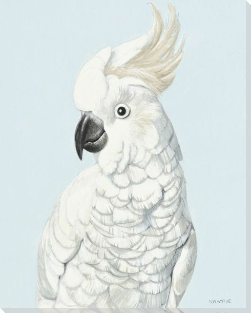 Cockatoo Bird Pose Wrapped Canvas Giclee Print Wall Art | Contemporary ...