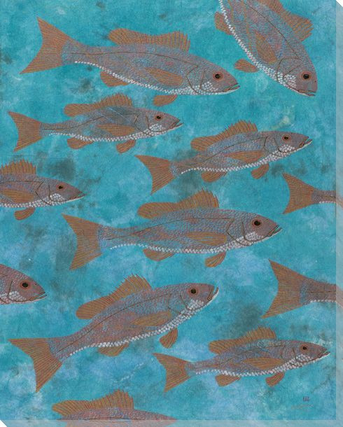 Yellow Sea Yellowtail Snapper Fish Wrapped Canvas Giclee Print ...