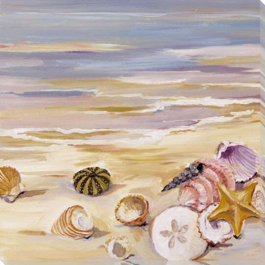 Shells Along the Beach Wrapped Canvas Giclee Print Wall Art | Seashore ...