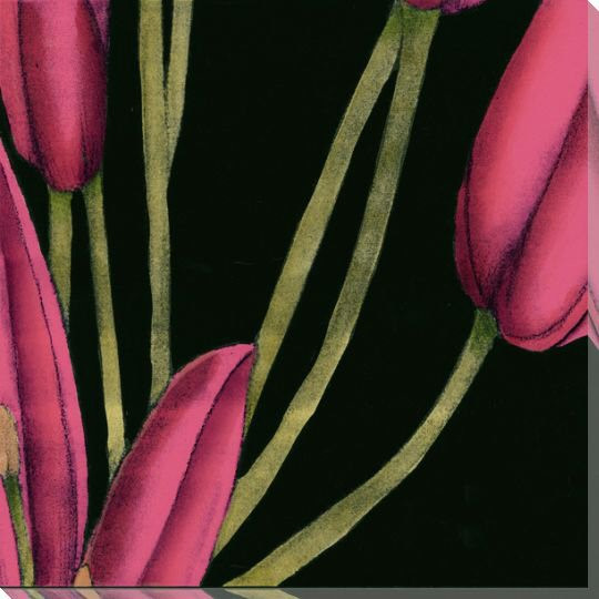 Pink Graphic Lily Flower TR Wrapped Canvas Giclee Print Wall Art ...