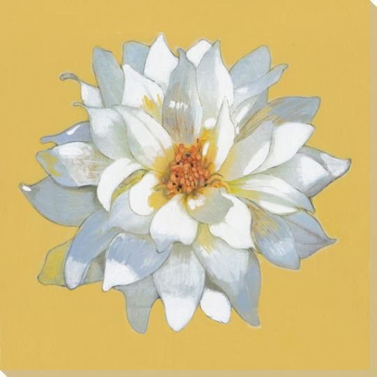 Spring Blossom Flower Yellow Wrapped Canvas Giclee Print Wall Art ...