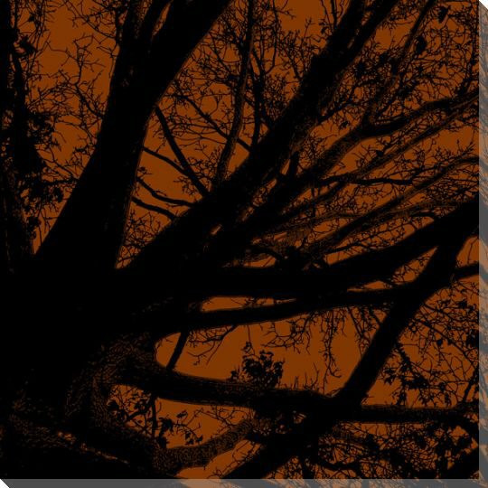 Twilight Trees Rust Right Wrapped Canvas Giclee Print Wall Art ...