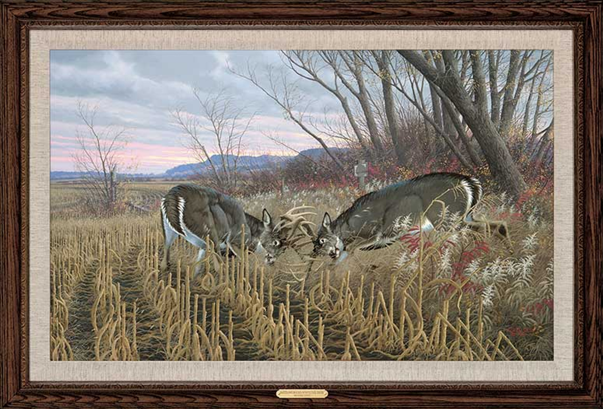 Battling Bucks Whitetail Deer Framed Canvas Giclee Art Print Wall Art