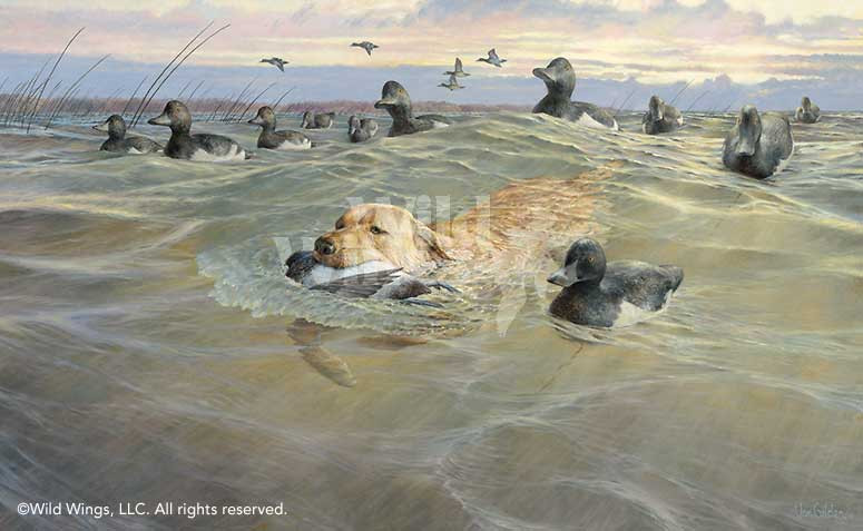 His Time to Shine Yellow Lab Dog Canvas Giclee Art Print Wall Art ...