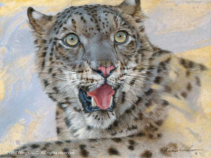 Snow Leopard Canvas Giclee Art Print Wall Art - Wall Decor - Wild Wings