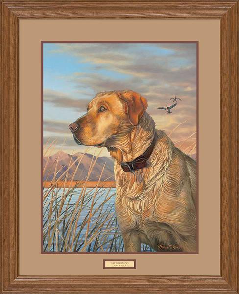 Day Dreaming Yellow Lab Dog Premium Framed Art Print Wall Art - Wall ...