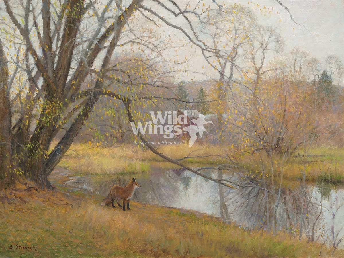November Red Fox Limited Edition Art Print Wall Art - Wall Decor - Wild ...