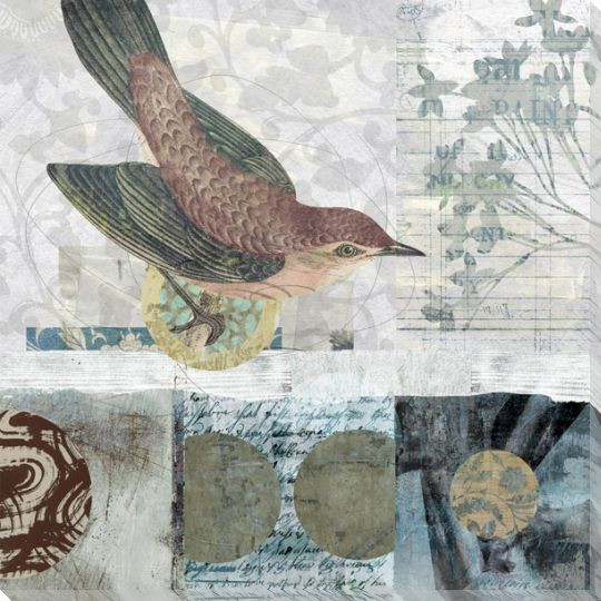 Haematopus Bird Wrapped Canvas Giclee Art Print Wall Art - Wall Decor ...