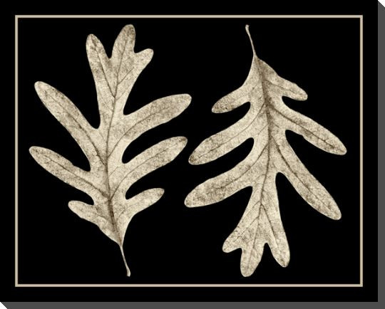 Overlapping Leaves Day 1 Wrapped Canvas Giclee Art Print Wall Art ...