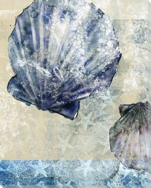 Beachcombing Shell 4 Wrapped Canvas Giclee Print Wall Art | Coastal ...