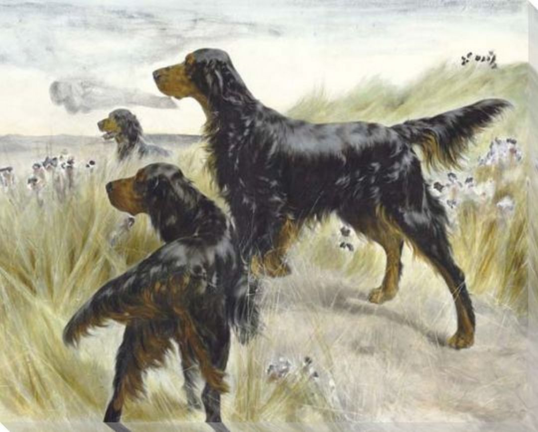 Sporting Life Dogs Wrapped Canvas Giclee Art Print Wall Art | Dog Home ...