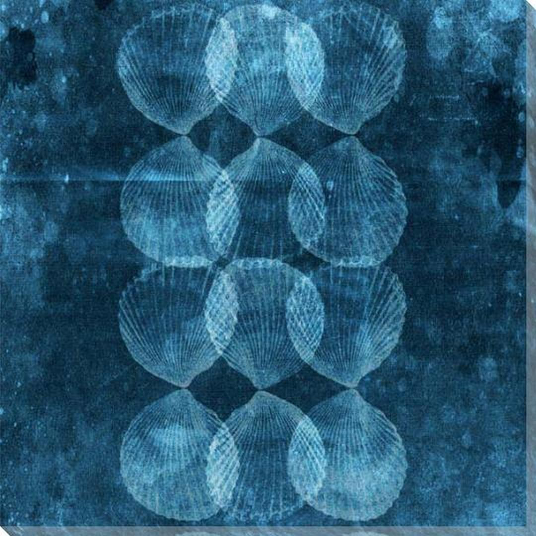 Patterns From The Sea Clamshell Wrapped Canvas Giclee Art Print Wall ...
