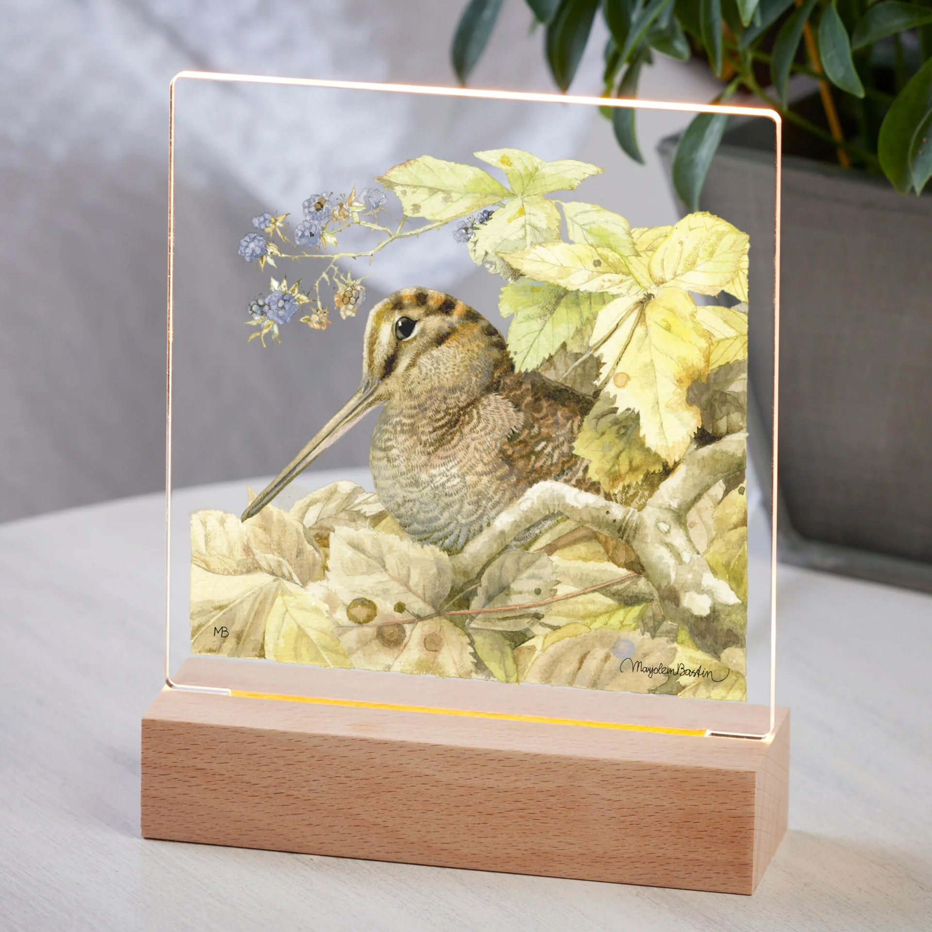 7.25" Eurasian Woodcock Bird Acrylic LED Lighted Night Light - Lighting