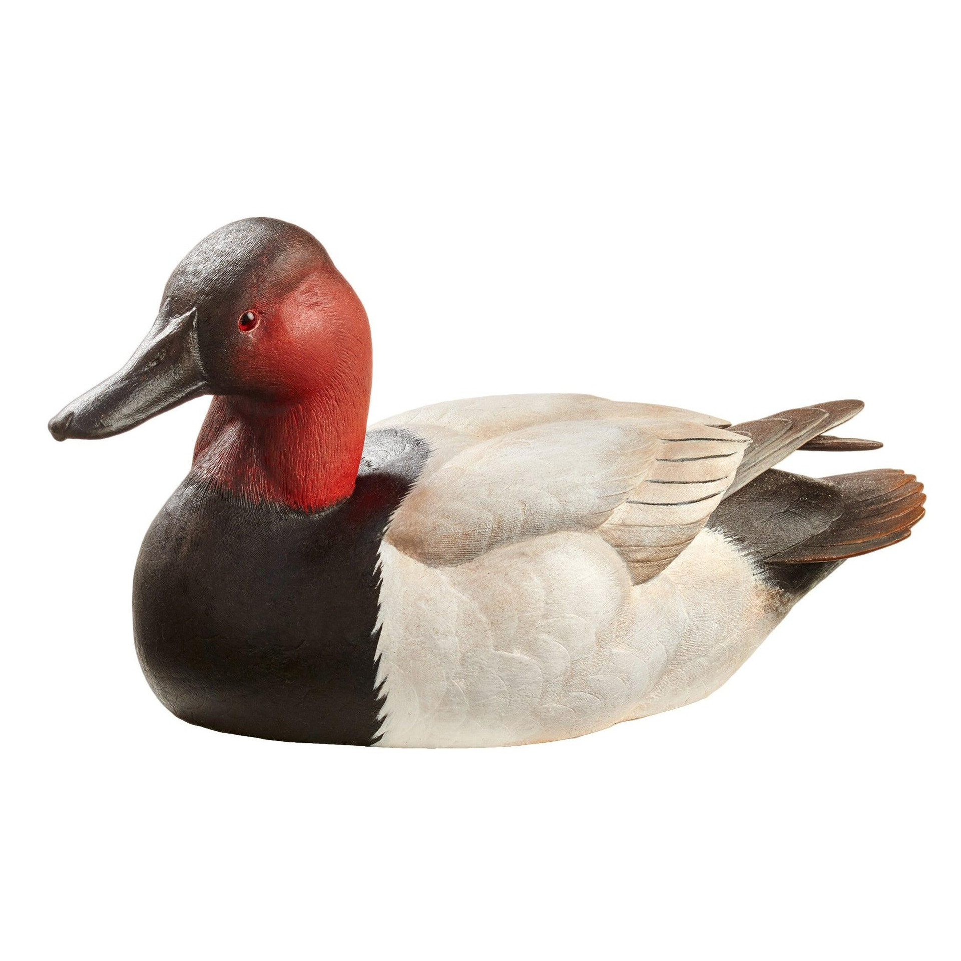 Canvasback Hand Painted Duck Decoy Sculpture | Hunting Decor