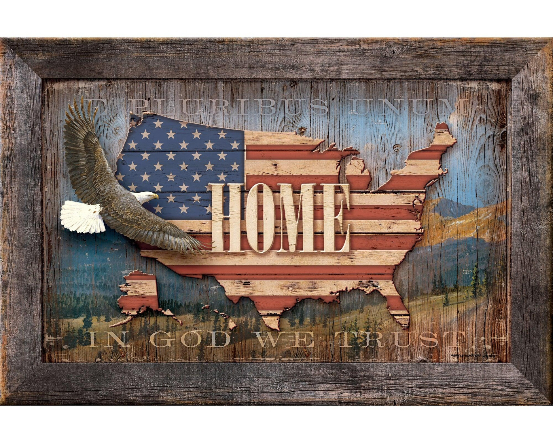 USA Bald Eagle Bird Wood Sign | Patriotic Decor