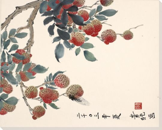 Lychees in the Spring Flowers Wrapped Canvas Giclee Print Wall Art ...