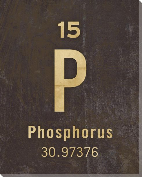 Phosphorus - Periodic Table of Elements Wrapped Canvas Print ...