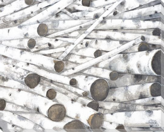 Birch Logs II Wrapped Canvas Giclee Print Wall Art | Woodland Wall ...