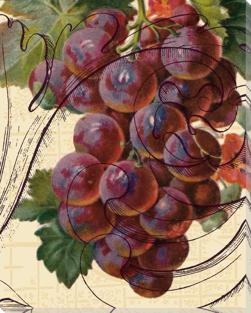 Scolled Grapes Wrapped Canvas Giclee Print Wall Art | Elegant Wine Wall Art