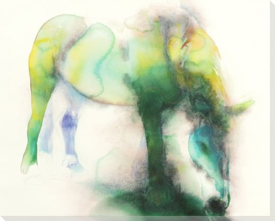 Green Graze Horse Wrapped Canvas Giclee Print Wall Art | Wild Horse ...
