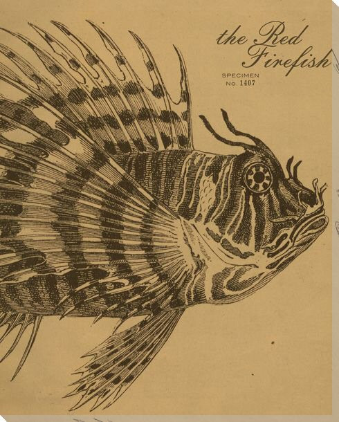 Firefish Etching Wrapped Canvas Giclee Print Wall Art | Fishing Wall Decor