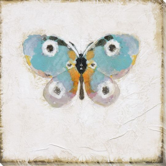 Antique Butterfly II Wrapped Canvas Giclee Print Wall Art | Butterfly ...