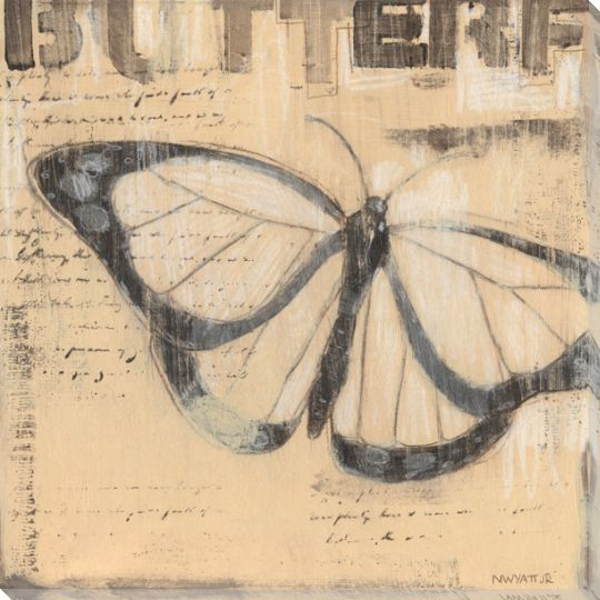 Winged Insects I Wrapped Canvas Giclee Print Wall Art | Nature Inspired ...