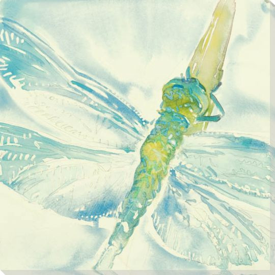 Summer Dragonfly Wrapped Canvas Giclee Print Wall Art | Colorful Bug ...