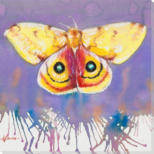 Lo Moth Wrapped Canvas Giclee Print Wall Art | Nature Inspired Insect ...