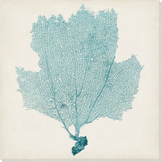 Sea Fan I Wrapped Canvas Giclee Print Wall Art - Wall Decor - Artwork