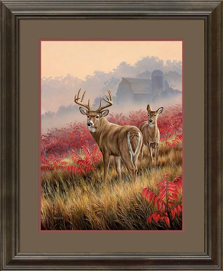 Fall Rut Whitetail Deer Art Print Wall Art - Wall Decor - Wild Wings