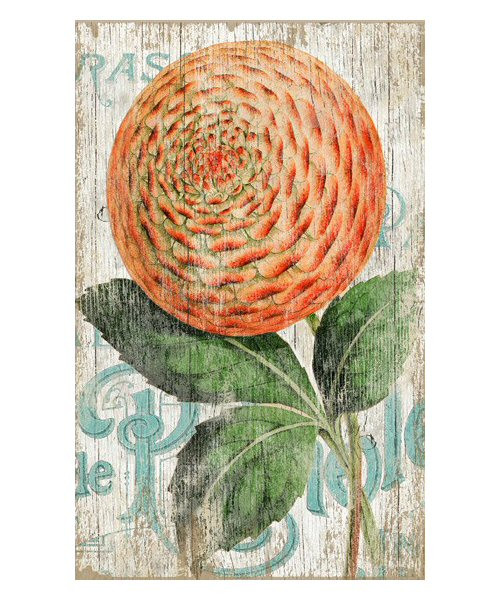 Red Zinnia Flower Vintage Style Wooden Sign - Antique Retro Wood Sign