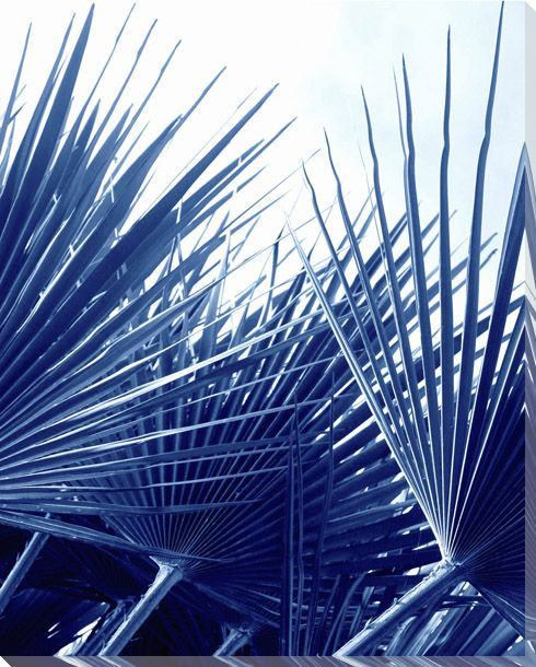Blue Palm Right Side Wrapped Canvas Giclee Art Print Wall Art ...